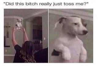 52 High Level Humor Memes Right For You - Funny Gallery | eBaum's World