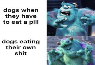 58 Funny Memes To Eat With Any Meal - Funny Gallery | eBaum's World