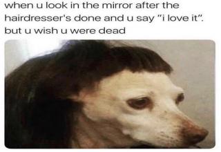 51 Funny Memes That Hit You with a Dose of Harsh Reality - Funny ...