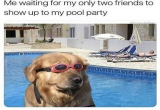 54 Low-Calorie Memes to Snack on When You're Bored - Funny Gallery ...