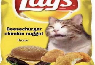 54 Low-Calorie Memes to Snack on When You're Bored - Funny Gallery ...