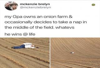 54 Low-Calorie Memes to Snack on When You're Bored - Funny Gallery ...