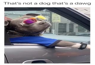 42 Funny Memes To Fill Your Tanks - Funny Gallery | eBaum's World