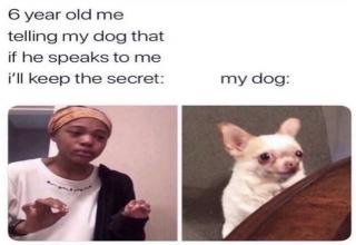 42 Funny Memes To Fill Your Tanks - Funny Gallery | eBaum's World