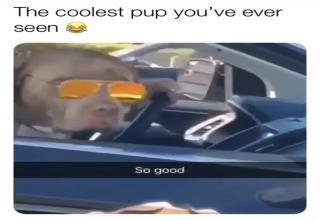 42 Funny Memes To Fill Your Tanks - Funny Gallery | eBaum's World