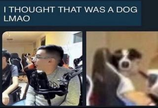 42 Funny Memes To Fill Your Tanks - Funny Gallery | eBaum's World