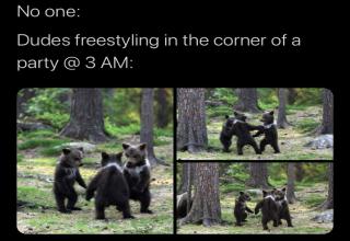 43 Stellar Memes To Laugh Your Heart Out To - Funny Gallery | eBaum's World