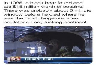 56 Funny Memes To Send You Into Overdrive - Funny Gallery | eBaum's World