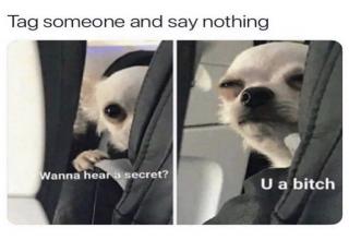 56 Funny Memes To Send You Into Overdrive - Funny Gallery | eBaum's World