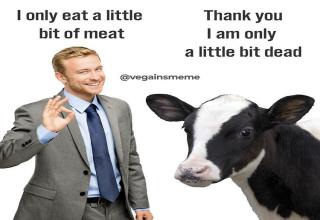 48 Killer Memes To Check Out - Funny Gallery | eBaum's World