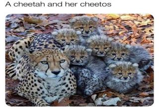 47 Solid Funny Memes To Keep You Busy - Funny Gallery | eBaum's World