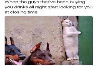 Extra Large Meme Dump (52 Images) - Funny Gallery | eBaum's World