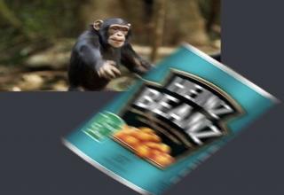 Large Batch of Fresh Memes and Pics (44 Images) - Funny Gallery | eBaum ...