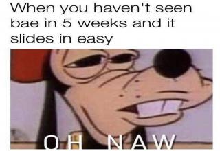 53 Funny Memes to Keep You Busy - Funny Gallery | eBaum's World