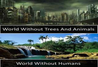 46 Memes Made to Perfection - Funny Gallery | eBaum's World