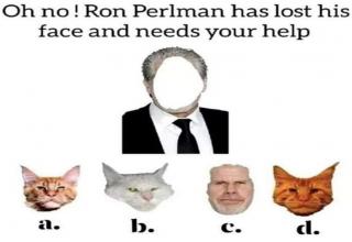 50 High Quality Memes For Lovers Of Jokes - Funny Gallery | eBaum's World