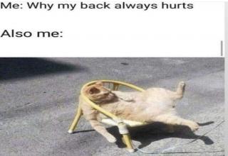 48 Dank and Normie Memes from Both Sides of the Humor Spectrum - Funny ...