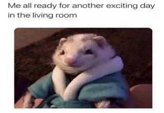 Funny Memes and Pics to Turn Off Your Brain With (52 Images) - Funny ...