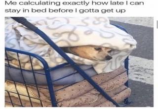 34 Dank Memes That Have Overstayed Their Dankness - Funny Gallery ...