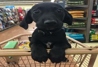 37 Extra-Random Pics That'll Scramble Your Head - Ftw Gallery | eBaum's ...