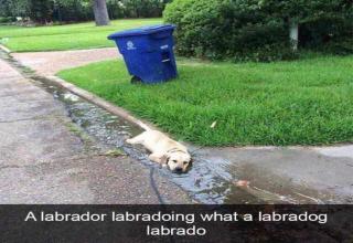 40 Random Pics To Help You Nurse Your Morning Hangover - Funny Gallery ...