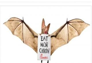 39 Randoms Pics and Memes to Scrub Your Brain - Funny Gallery | eBaum's ...