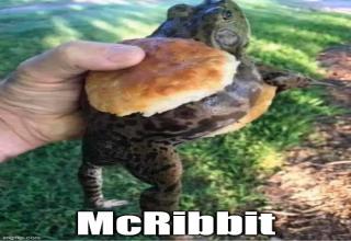 39 Randoms Pics and Memes to Scrub Your Brain - Funny Gallery | eBaum's ...