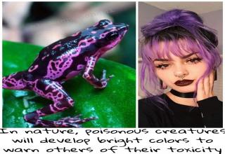 39 Grade A Memes that are Certified Fresh by the USDA - Gallery | eBaum ...