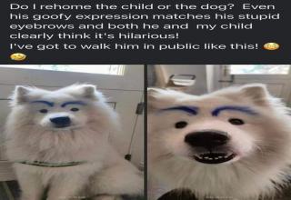 54 Kickass Pics and Funny Memes For Your Enjoyment - Funny Gallery ...