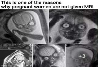 31 Majestic Memes and Radiant Randoms for Your Daily Dose - Funny ...