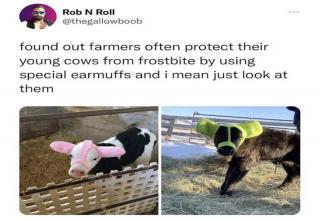 43 Funny Memes, Cool Pics, and Savage Tweets for Your Indulgence ...