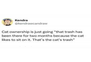 43 Funny Memes, Cool Pics, and Savage Tweets for Your Indulgence ...