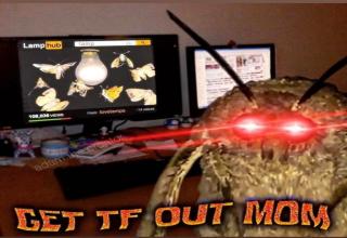 15 Trending Moth Memes That'll Make You Laugh - Gallery | eBaum's World