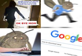 15 Trending Moth Memes That'll Make You Laugh - Gallery | eBaum's World