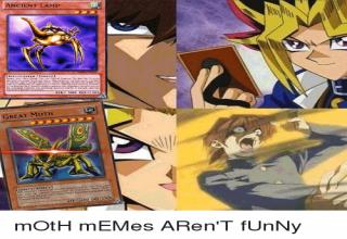 15 Trending Moth Memes That'll Make You Laugh - Gallery | eBaum's World