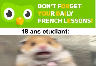 25 Duolingo Owl Memes That Threaten to Murder Your Family - Creepy ...