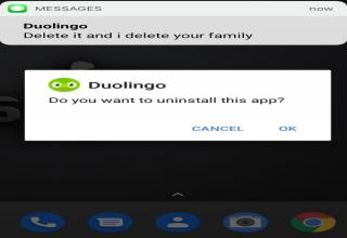 25 Duolingo Owl Memes That Threaten to Murder Your Family - Creepy ...