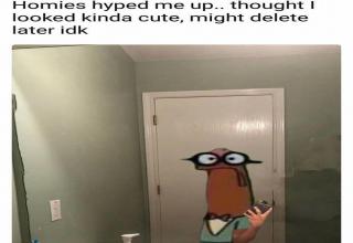 23 Feeling Cute, Might Delete Later Memes to Hype You Up - Funny ...