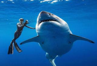 30 Random Pics from the World Wide Web - Wow Gallery | eBaum's World