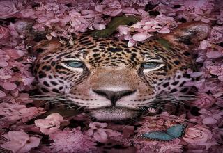 30 Random Pics from the World Wide Web - Wow Gallery | eBaum's World