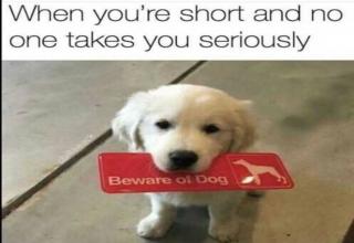 25 Pics and Memes That Are The Perfect Distraction | eBaum's World