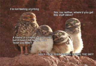 43 Memes to Make Your Legs Fall Asleep Reading in the Bathroom - Funny ...