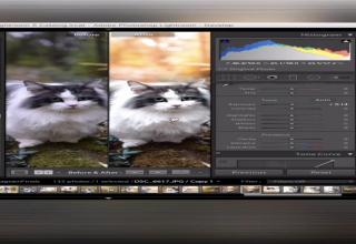 26 Memes so Random You'll Rawr XD | eBaum's World