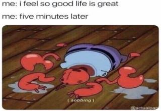 27 Memes That Prove Life Is Worth Living - Funny Gallery | eBaum's World