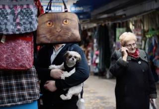 33 Amazing Camera Glitches That We Are Glad Happened - Wow Gallery ...