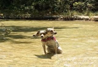 33 Amazing Camera Glitches That We Are Glad Happened - Wow Gallery ...