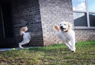 33 Amazing Camera Glitches That We Are Glad Happened - Wow Gallery ...