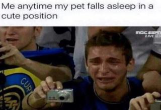 39 Amazing Memes and Pics Too Make You Happy - Gallery | eBaum's World