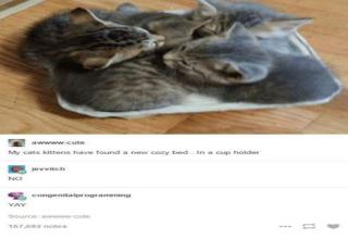 45 Animal Pics And Dank Memes - Gallery | eBaum's World