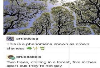 47 Fire Hot Memes Right Off The Grill - Funny Gallery | eBaum's World